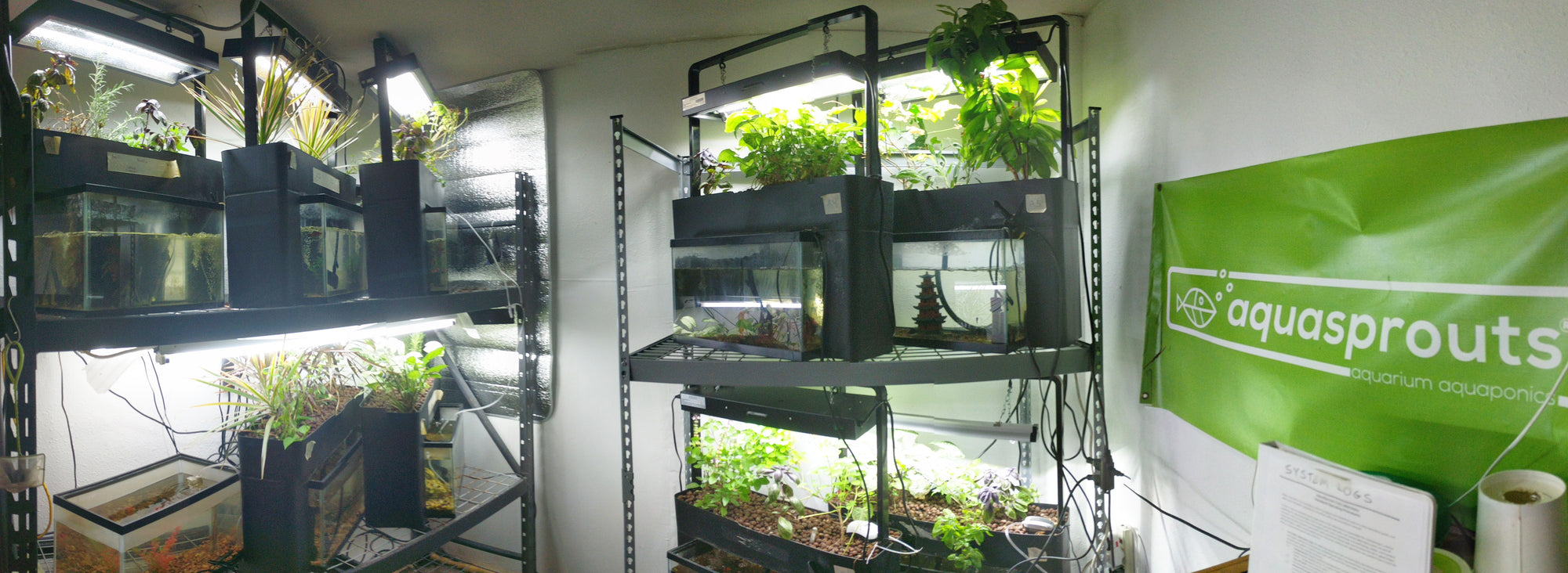 Constant Flood vs. Ebb/Flow – AquaSprouts