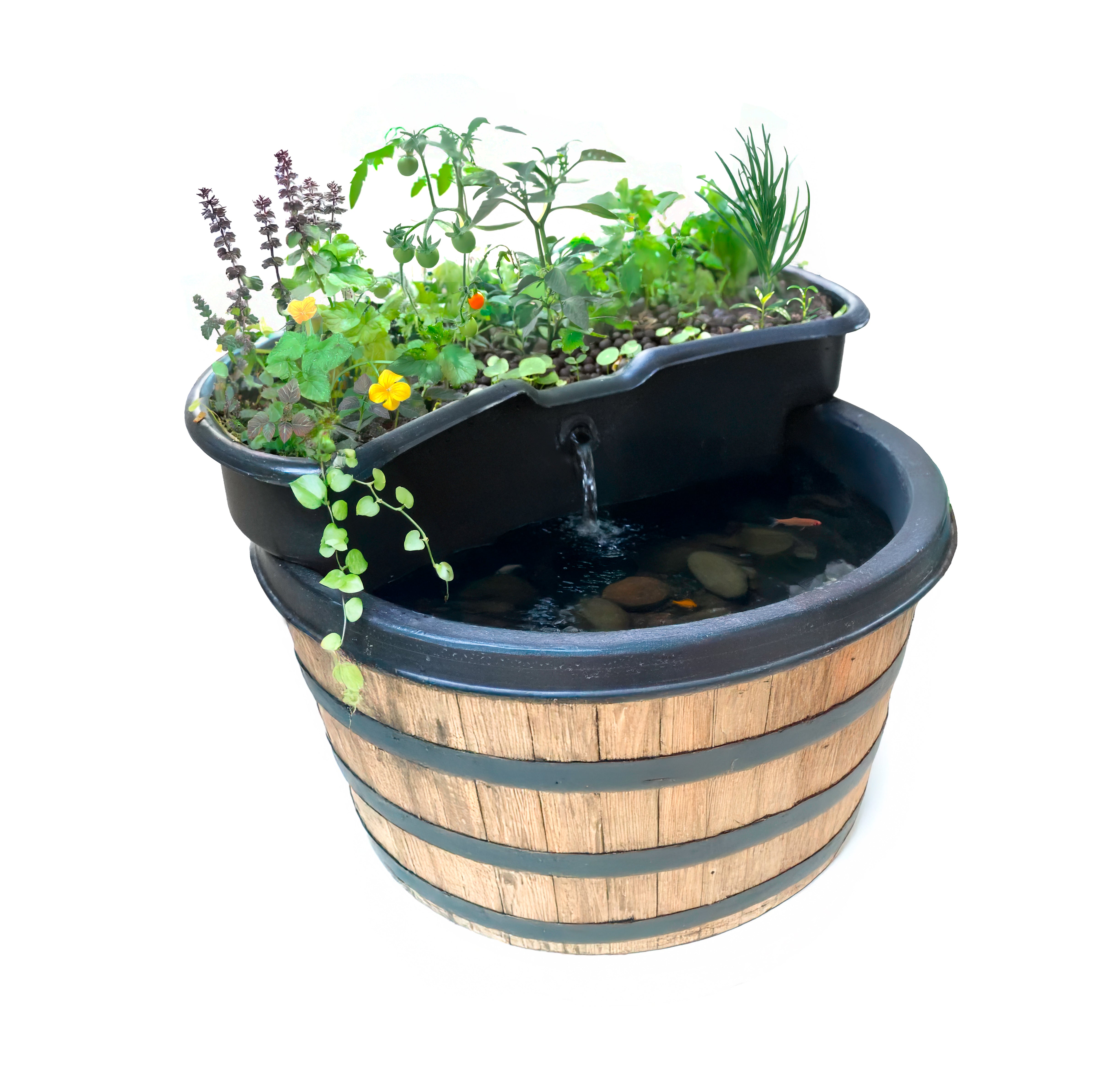 Aquaponics Hydroponics Garden Kit - AquaSprouts Fountain Pond System