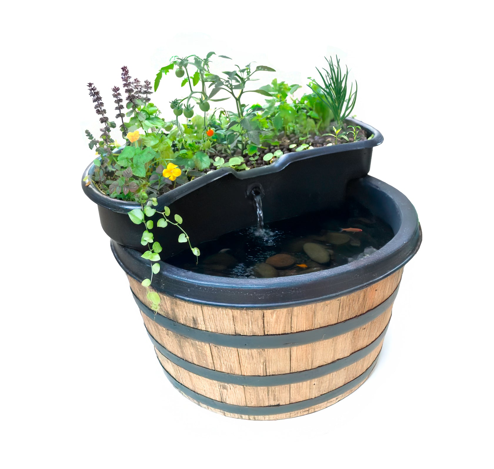 AquaSprouts Aquaponics Universal Pond Bog Water Gardening Kit