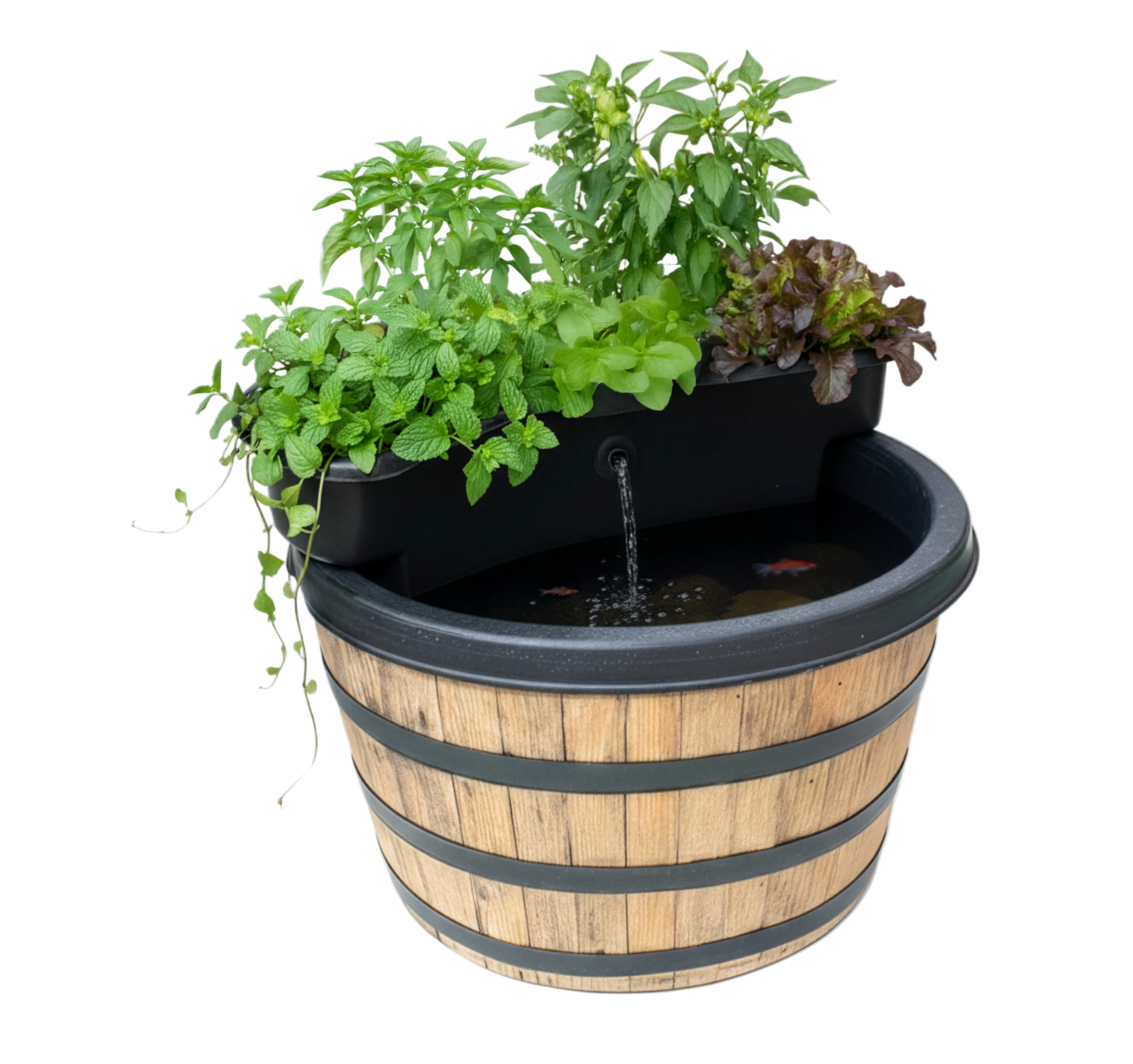 AquaSprouts Aquaponics Universal Pond Bog Water Gardening Kit