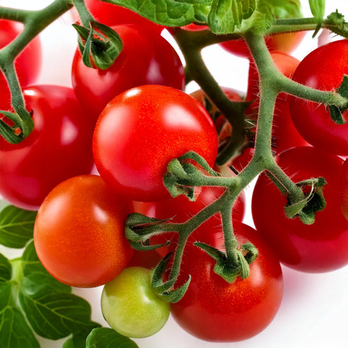 Red Robin Tomato Seeds – AquaSprouts